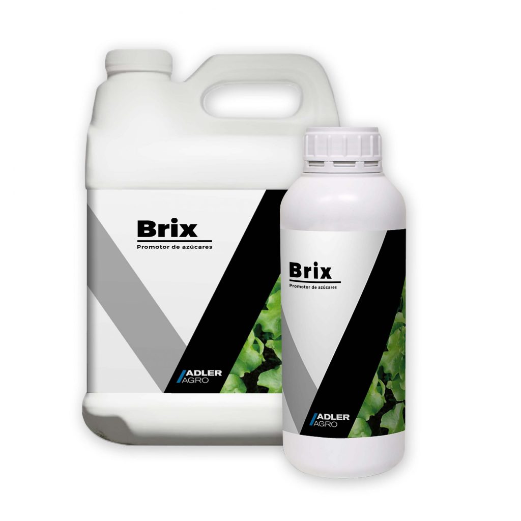 BRIX promotes the production of sugars and improves the yield and ...